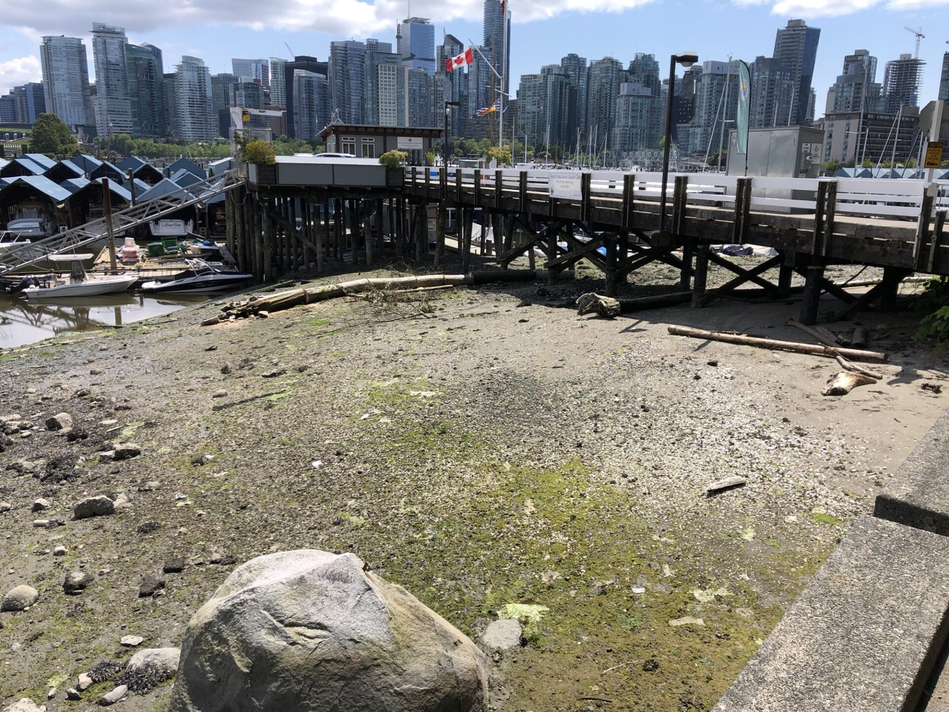 Emergency Log Removal - PFM